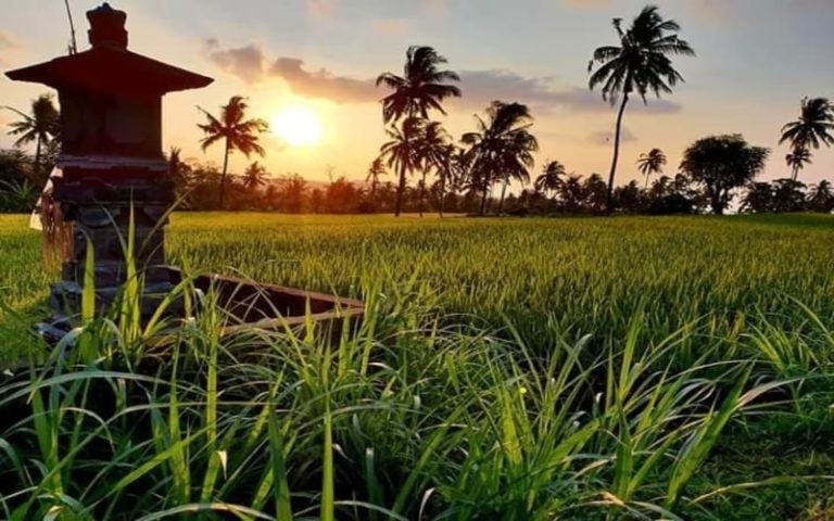 Mayong Trekking — A Worthy Experience - Lovina Bali Taxi Service